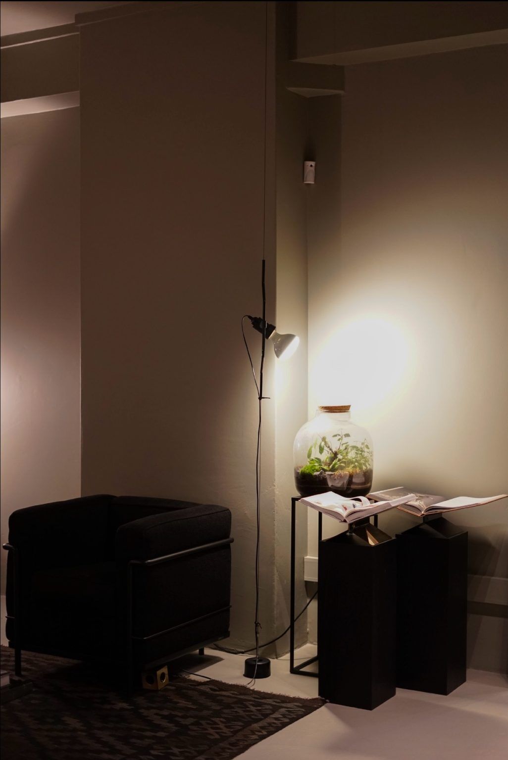 STUDIO – Grow Creativity